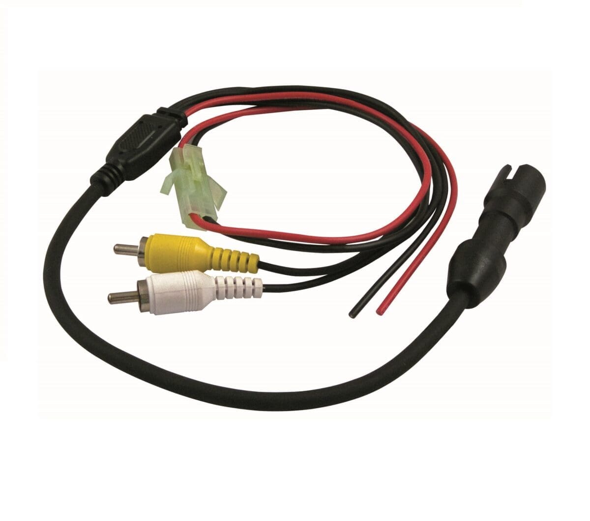 Voyager Archives - MS Foster